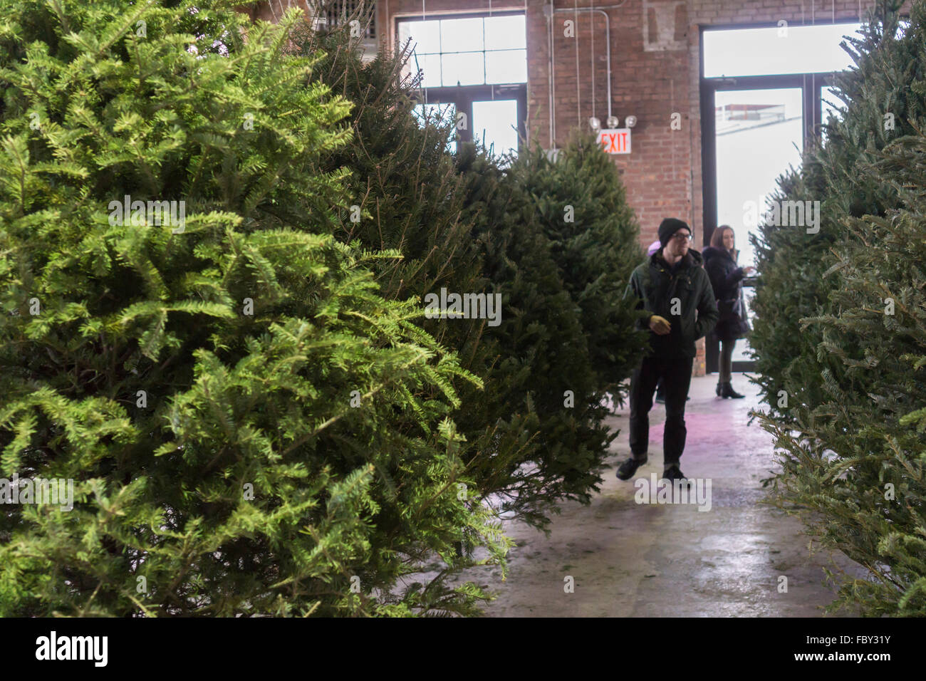 Knockdown center queens hi-res stock photography and images - Alamy