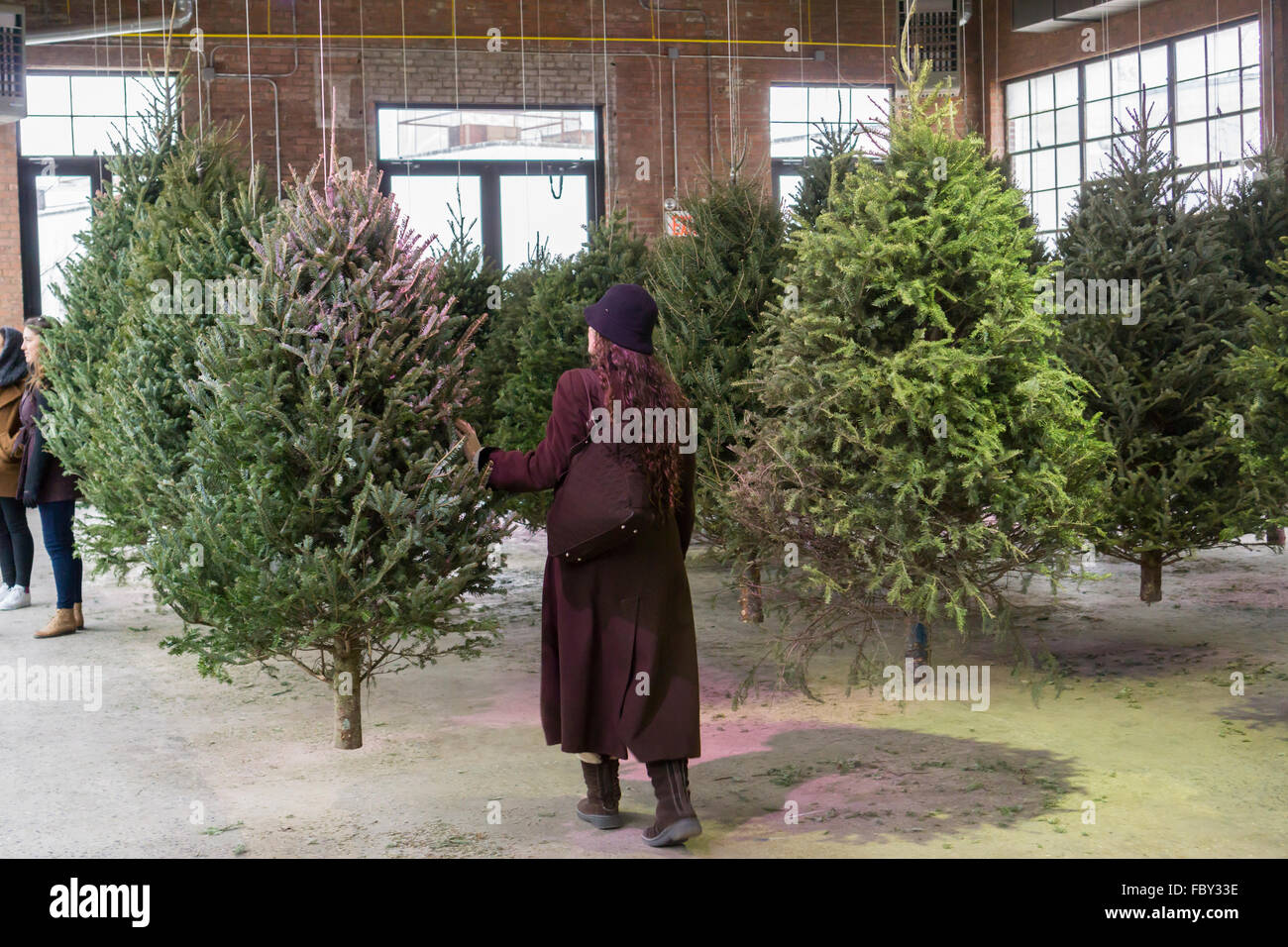 Knockdown center queens hi-res stock photography and images - Alamy