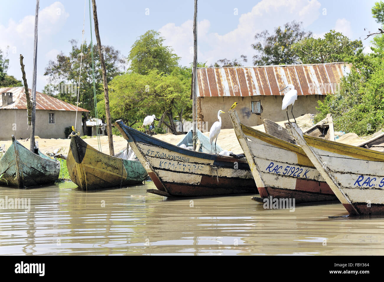 Boats and Birds at Lake Victoria Stock Photo - Alamy