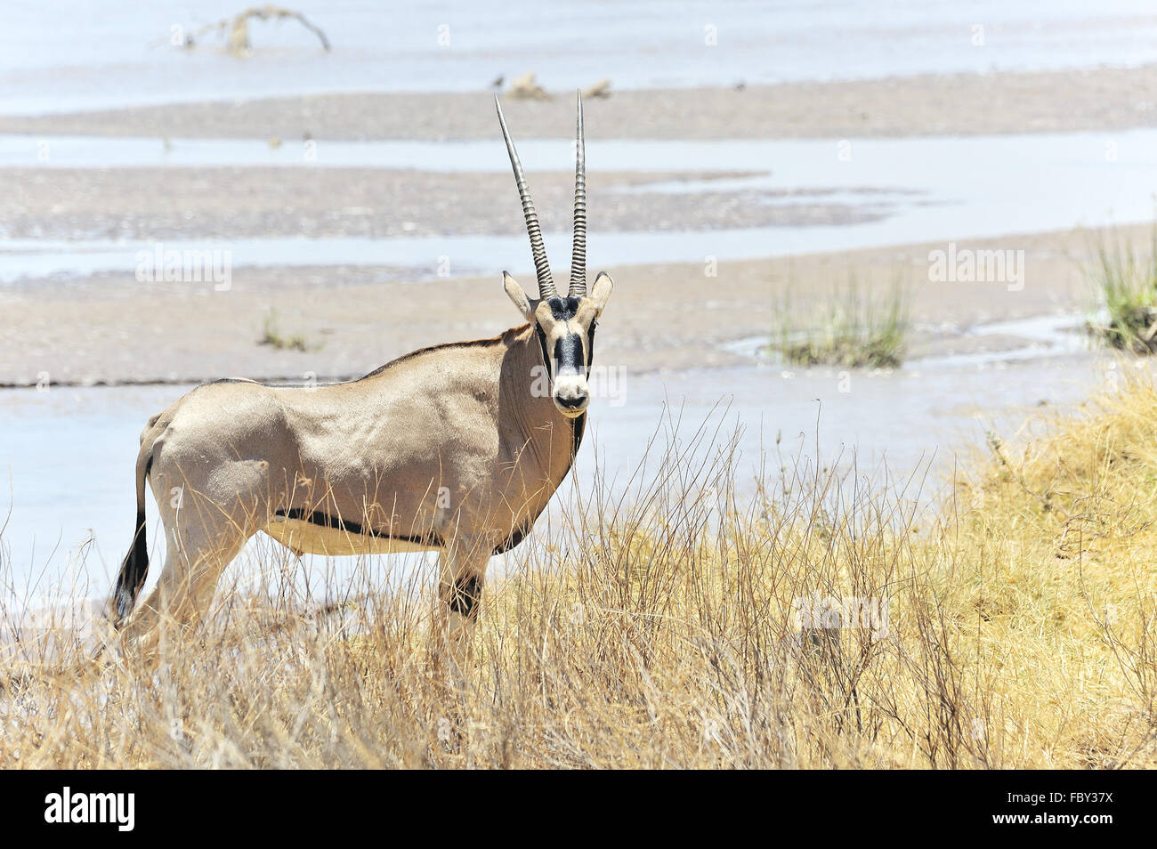 Riverside drive east hi-res stock photography and images - Alamy