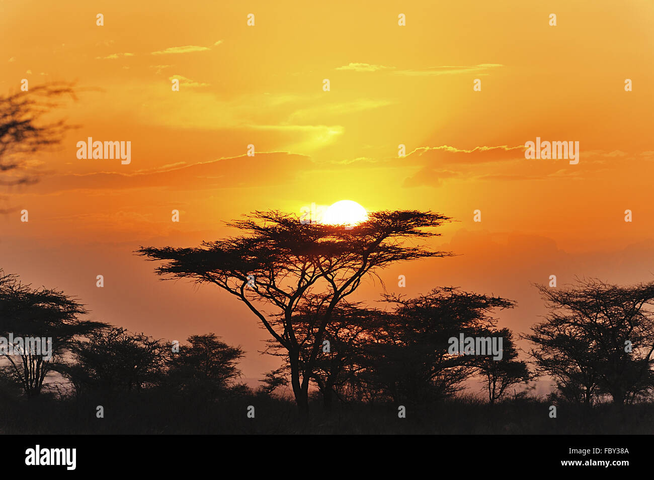 Sunset africa hi-res stock photography and images - Alamy