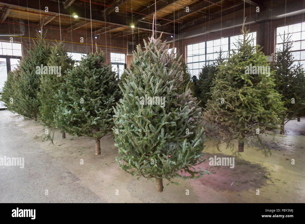 Knockdown center queens hi-res stock photography and images - Alamy