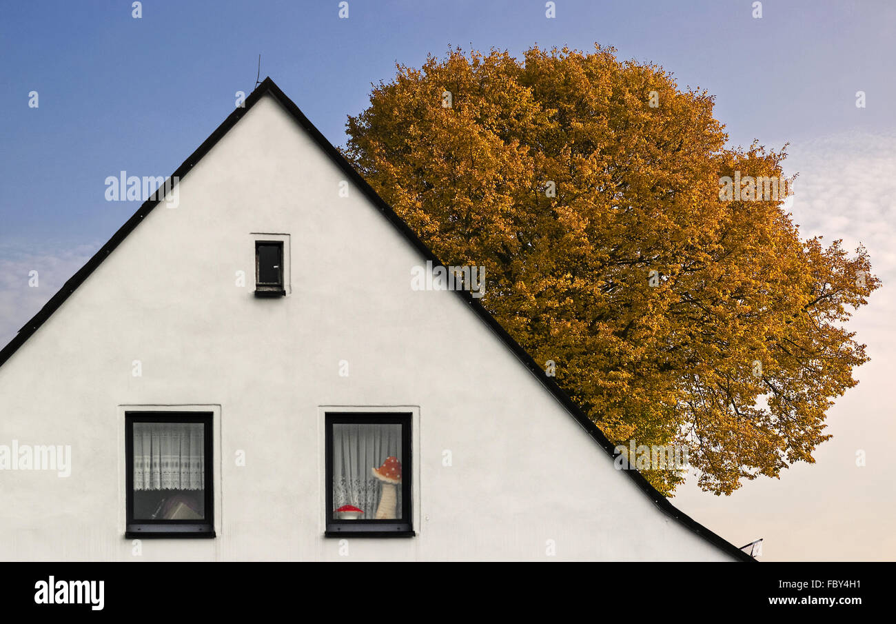 Roof form with tree Stock Photo - Alamy