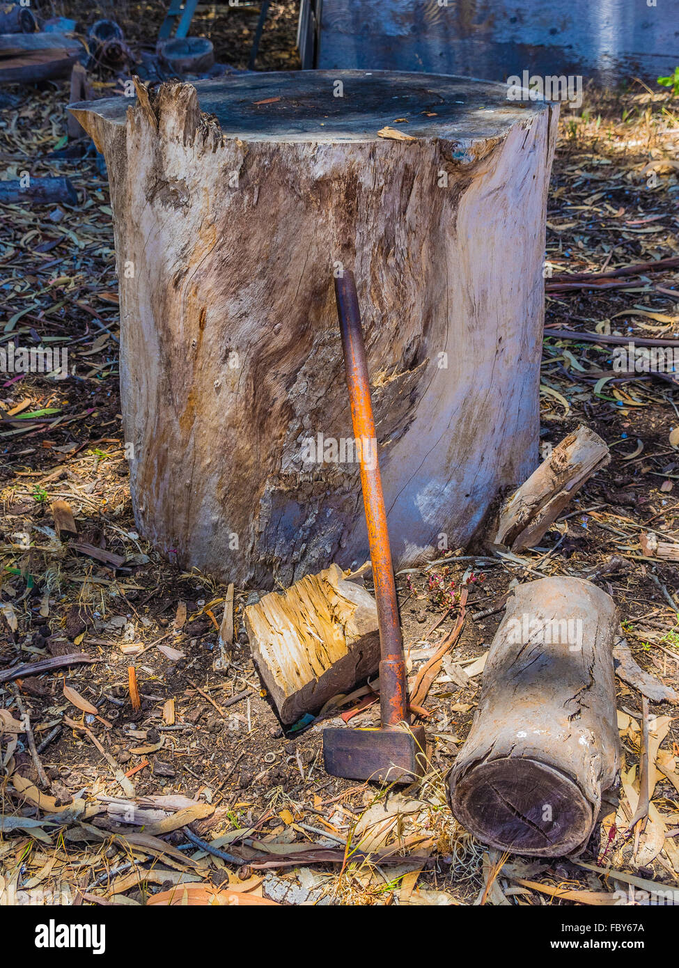Wood chopping still life with a well-used ax, chopped wood and a stump ...