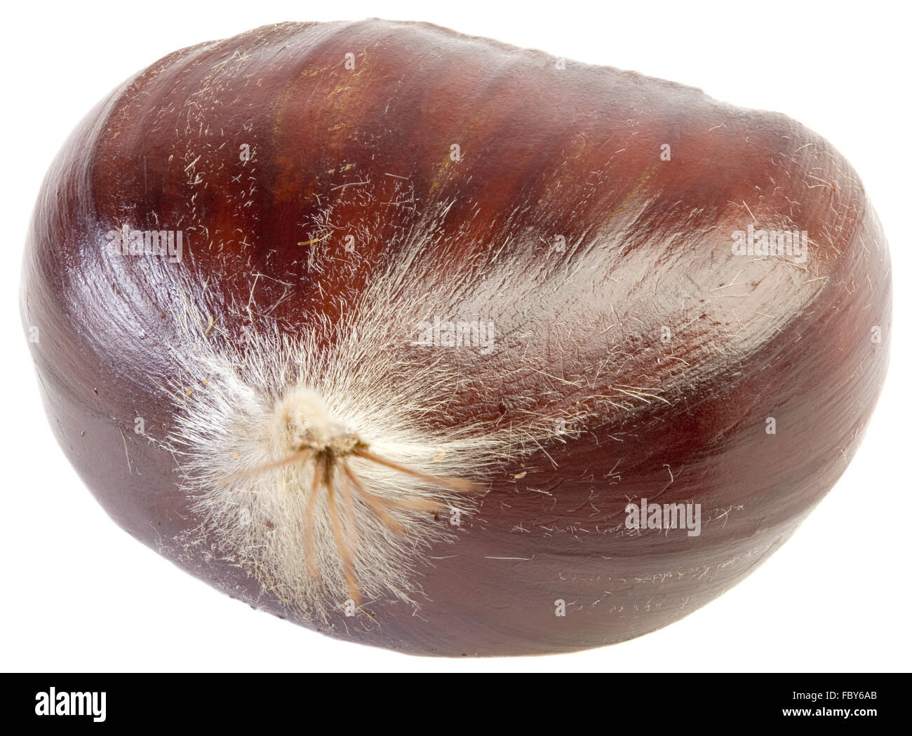 Maroon fruit hi-res stock photography and images - Alamy