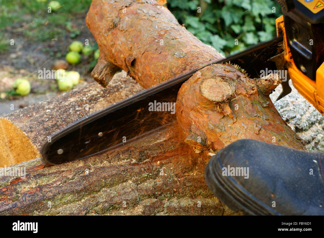 Man cutting piece Stock Photo - Alamy