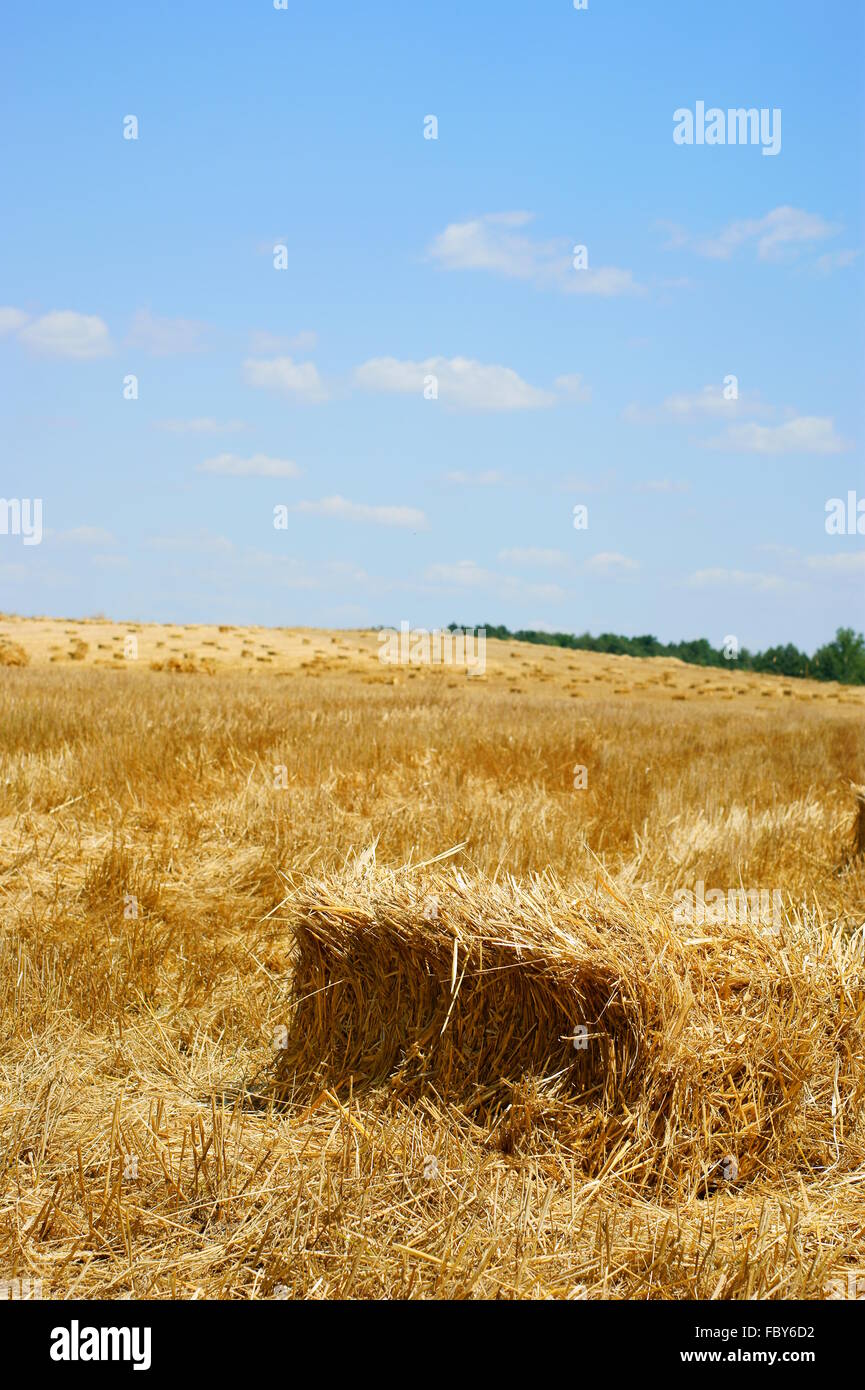 England haystack hi-res stock photography and images - Alamy
