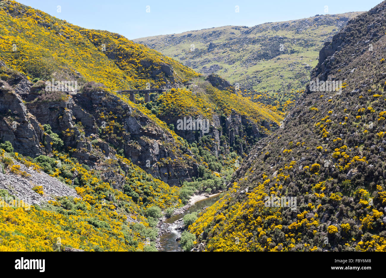 Taieri Gorge railway on side of ravine with bridge Stock Photo - Alamy