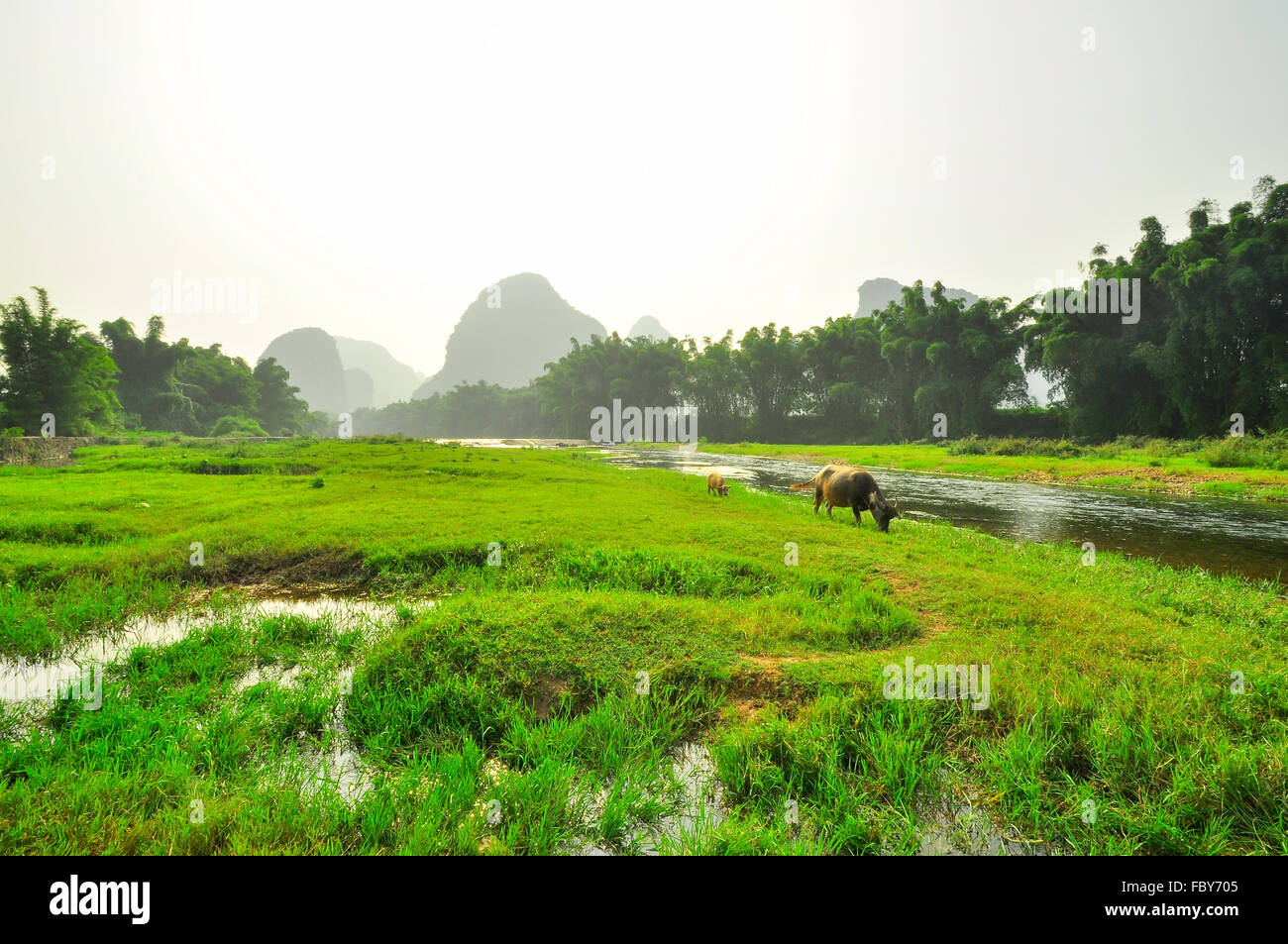 Guilin Park and Karst rocks Yangshuo Stock Photo - Alamy