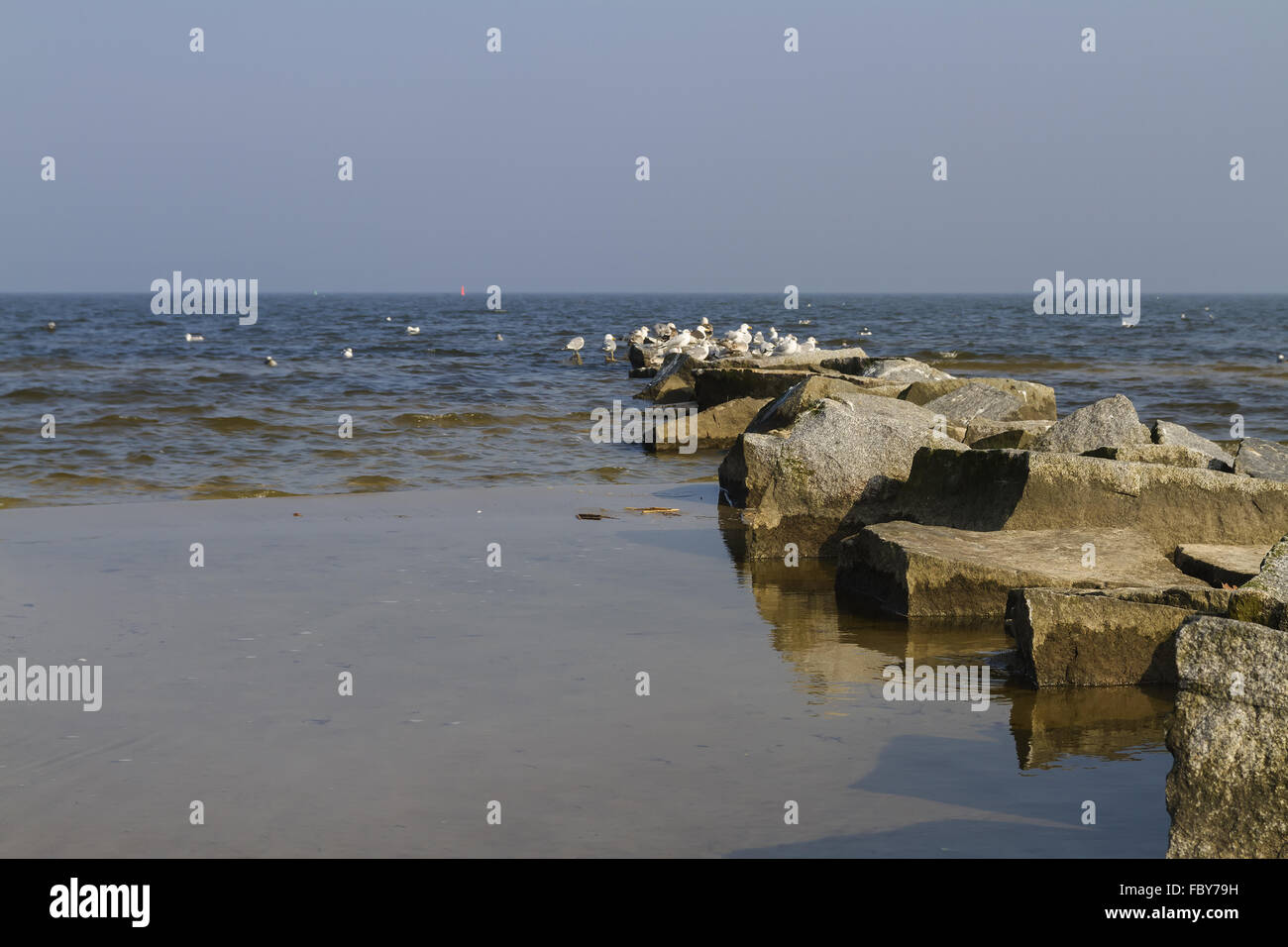 Stettiner Haff Beach High Resolution Stock Photography and Images - Alamy