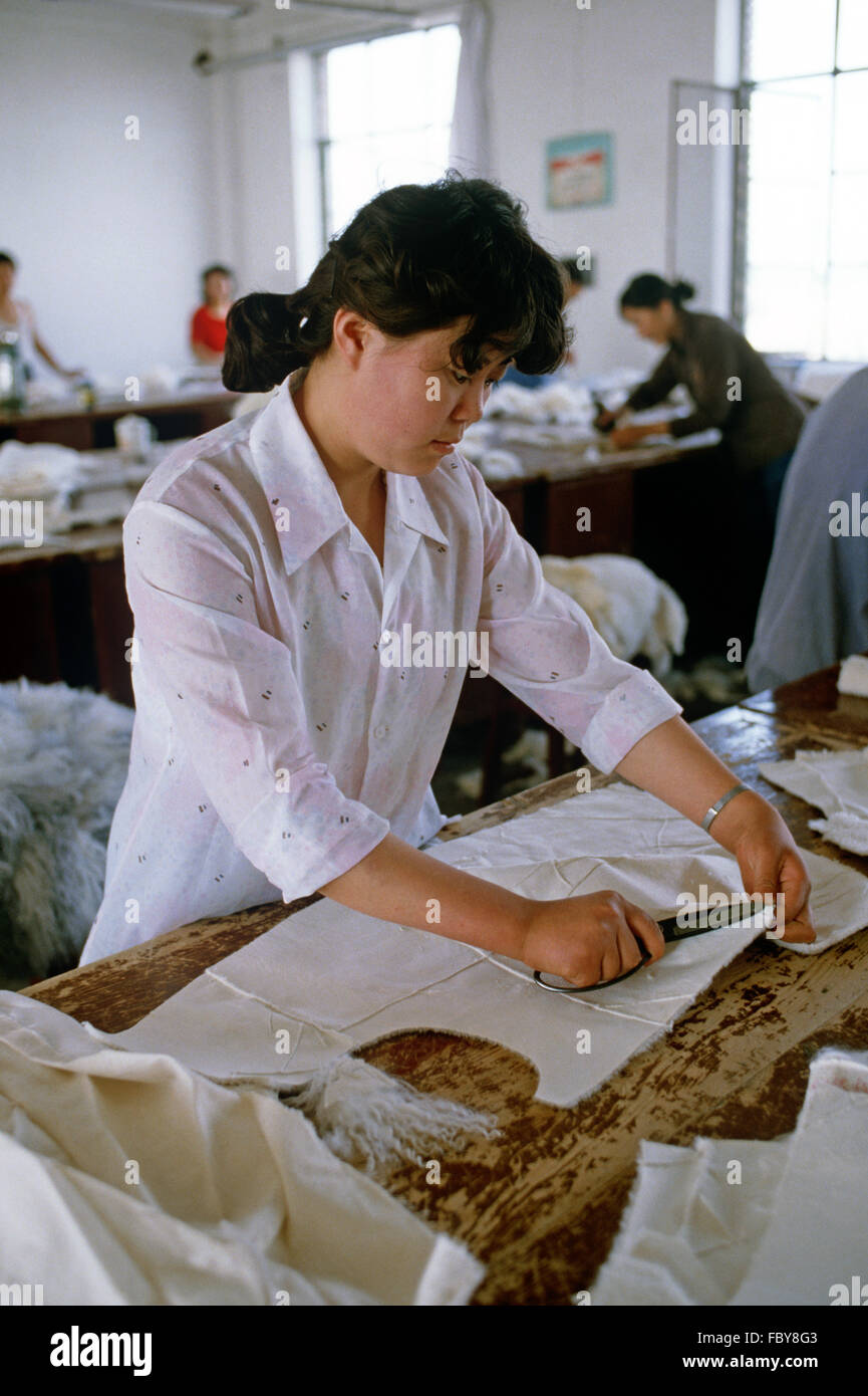 Cutting furs in the making of fur coats in Yinchuan Fur Factory ...