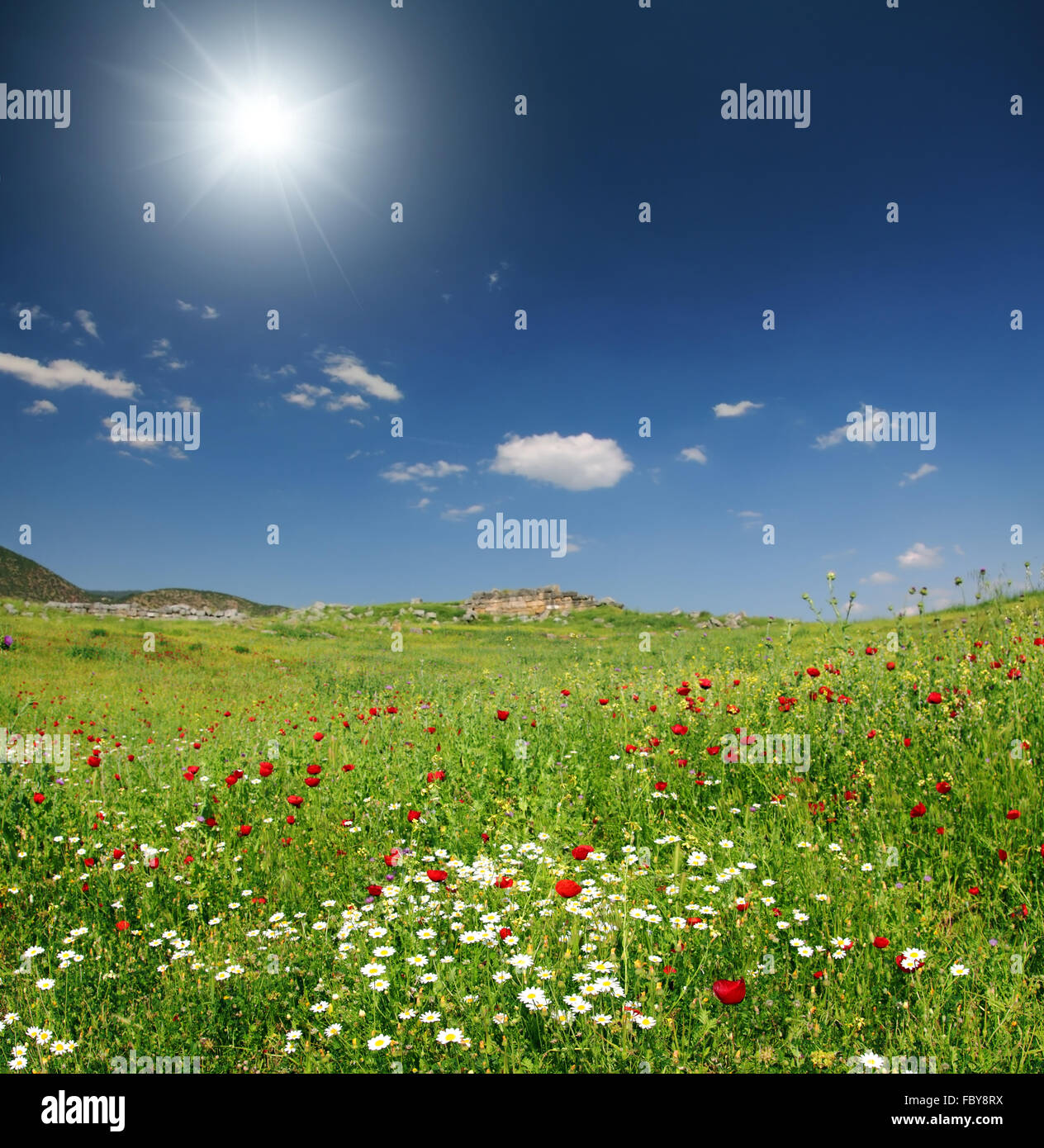 spring mountain landscape in Turkey Stock Photo - Alamy