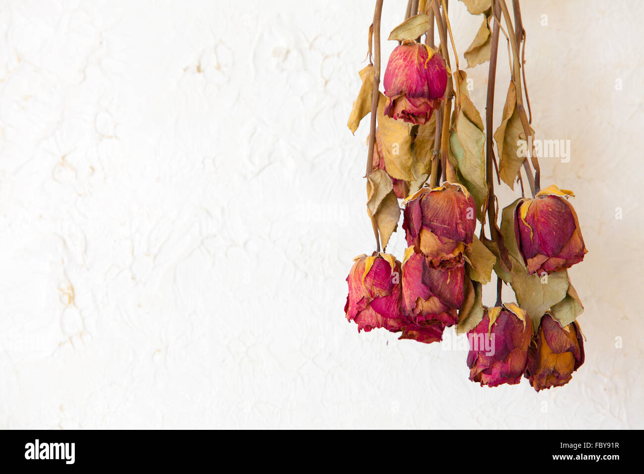 Dead and dried hi-res stock photography and images - Alamy