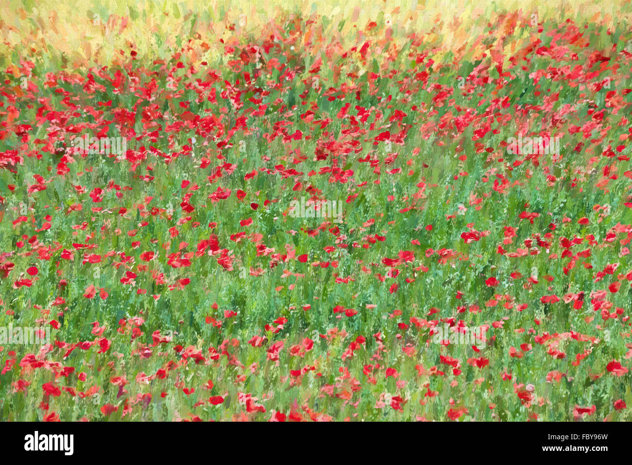 Poppy Field Digital Art Background Stock Photo - Alamy