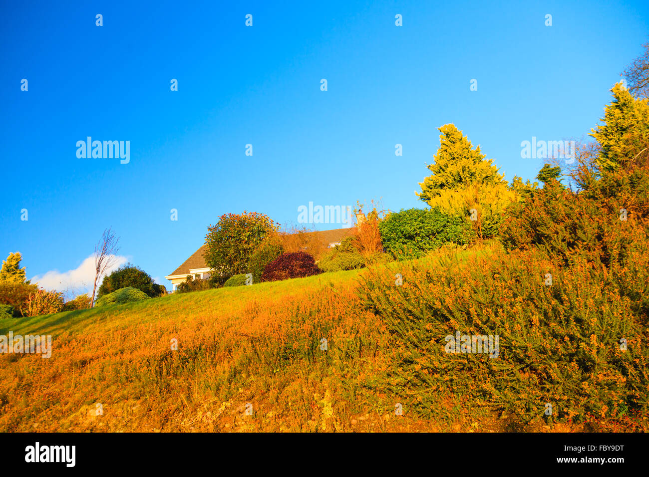Beautiful ireland hi-res stock photography and images - Alamy