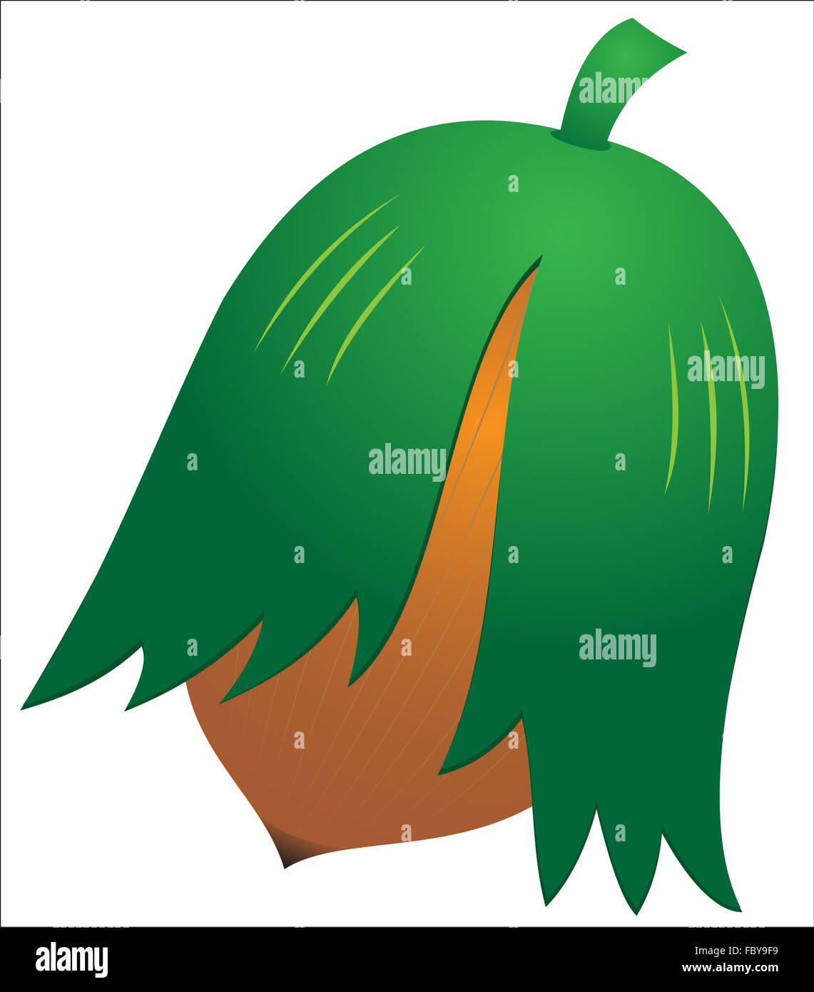 A wood nut Stock Photo - Alamy