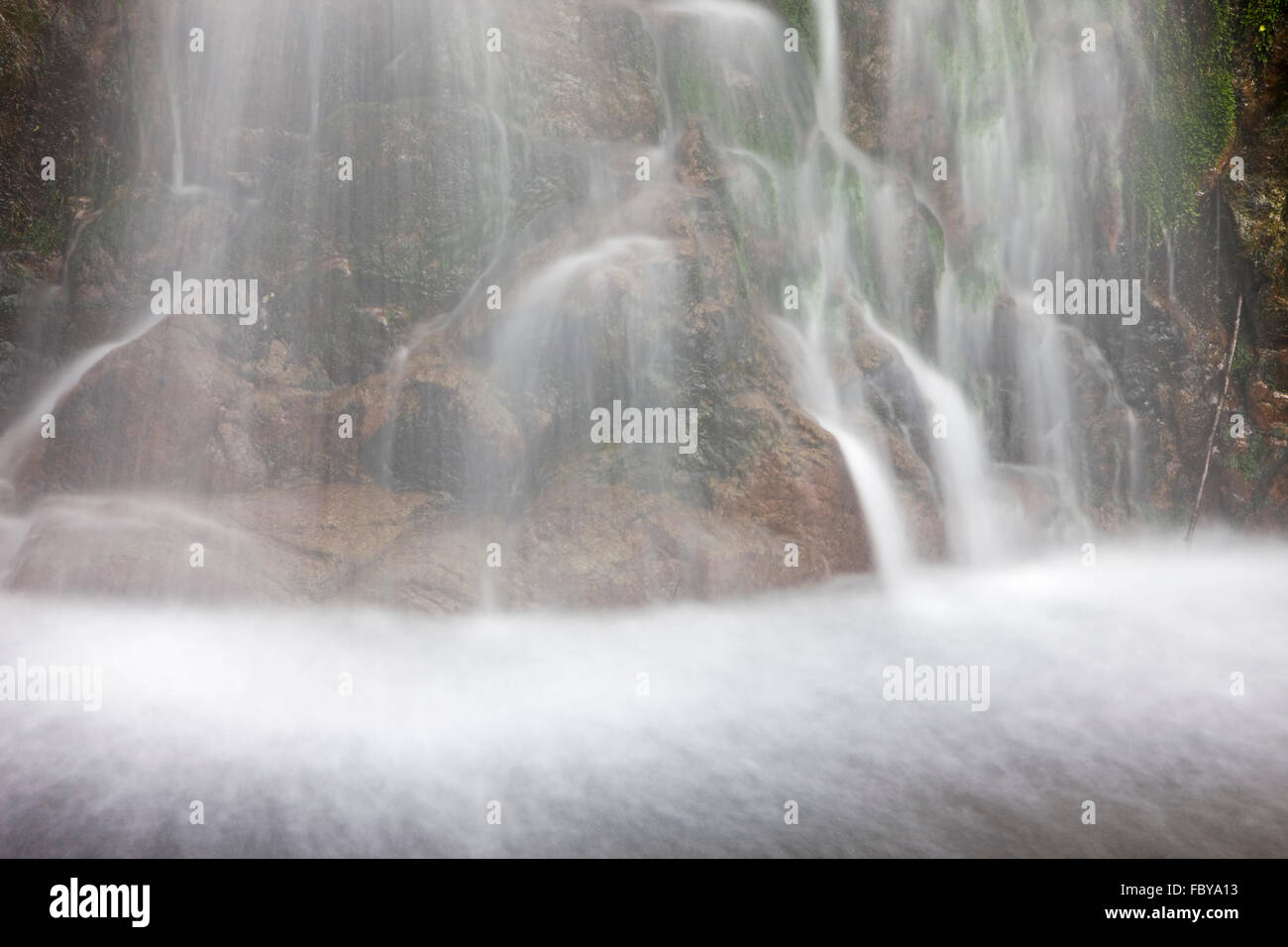 Waterfall in the rainforest near Port Alice, Northern Vancouver Island ...