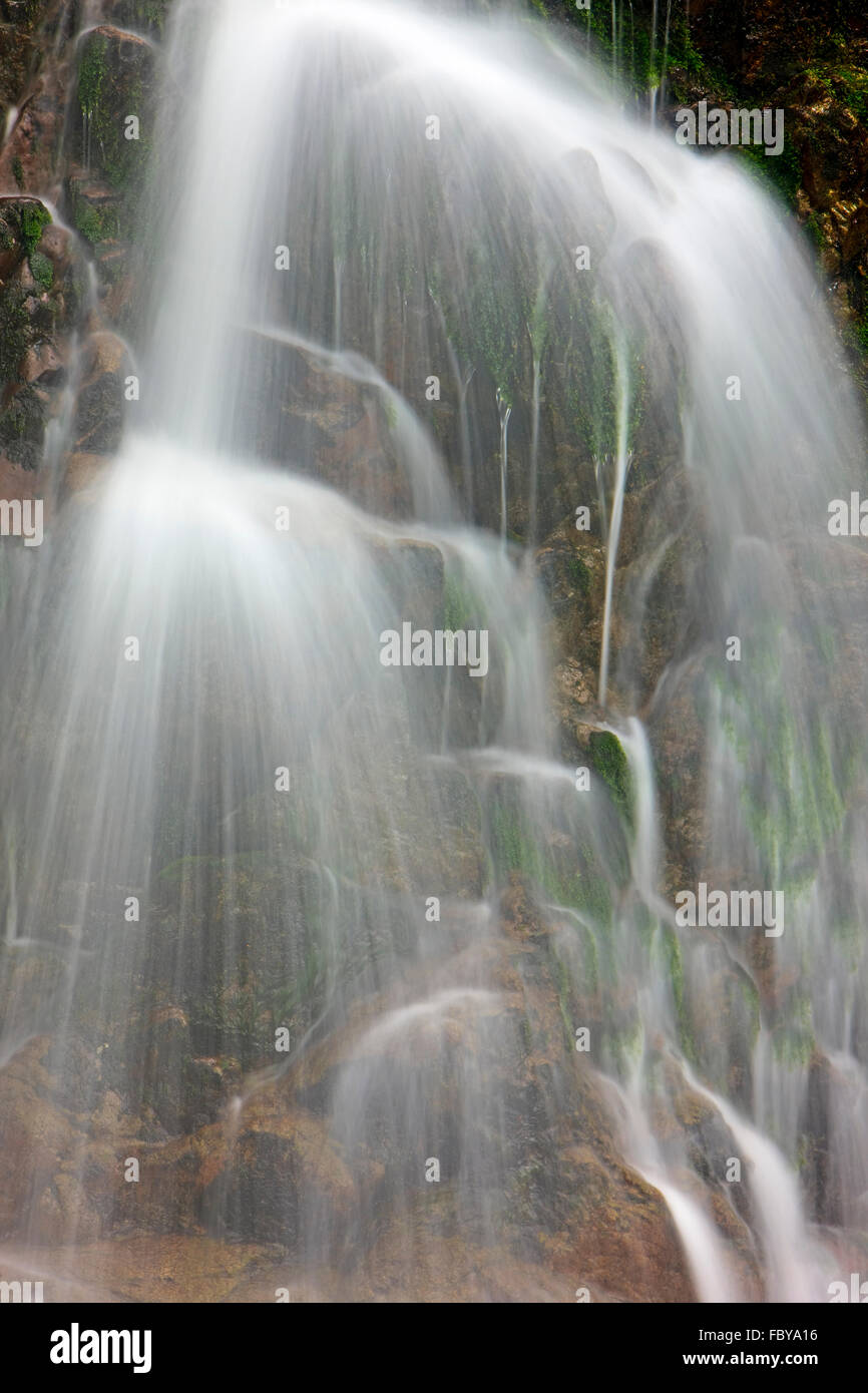 Waterfall in the rainforest near Port Alice, Northern Vancouver Island ...