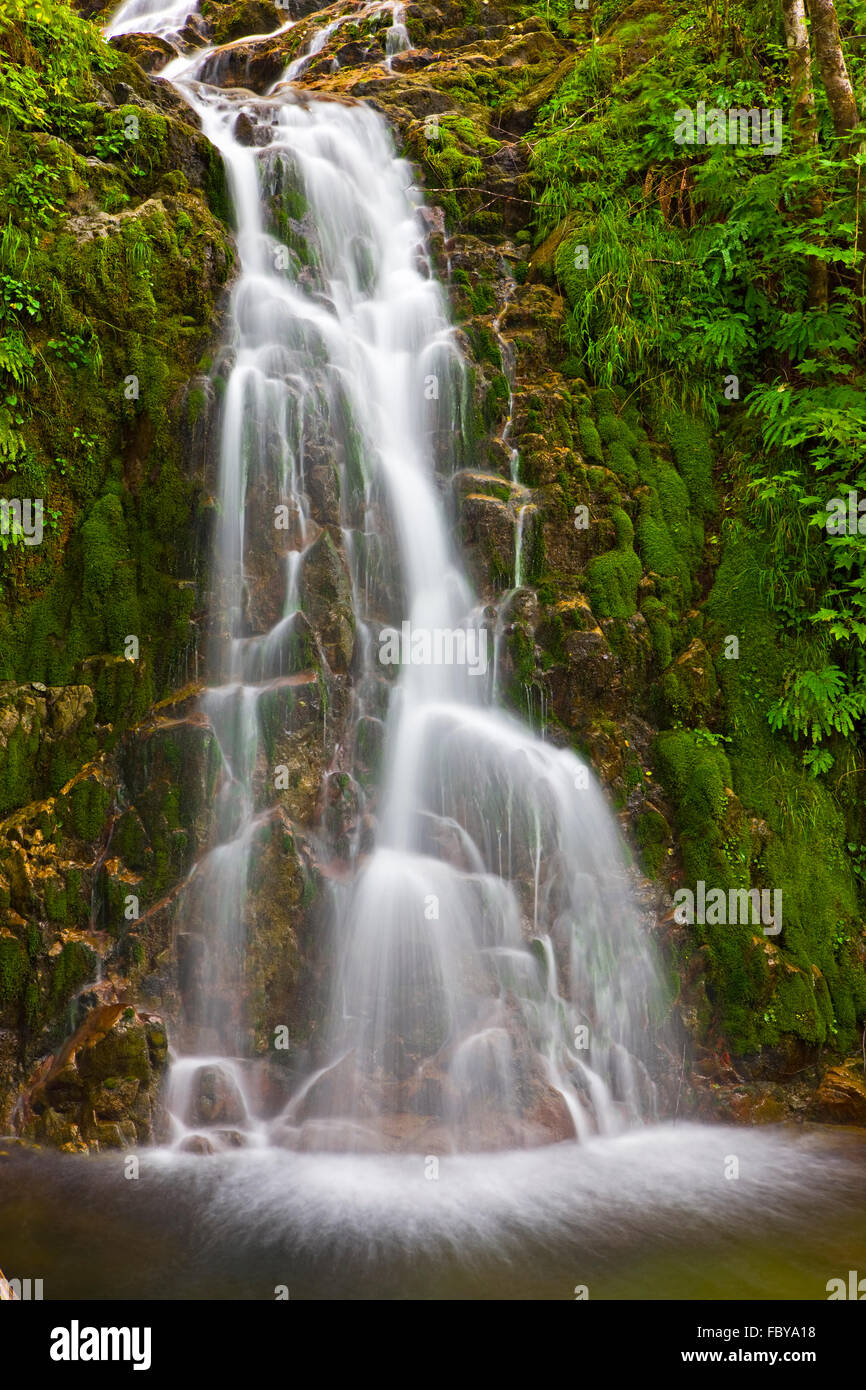 Waterfall in the rainforest near Port Alice, Northern Vancouver Island ...