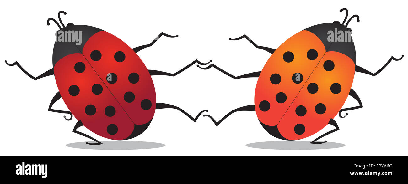 Illustration beetles hi-res stock photography and images - Alamy