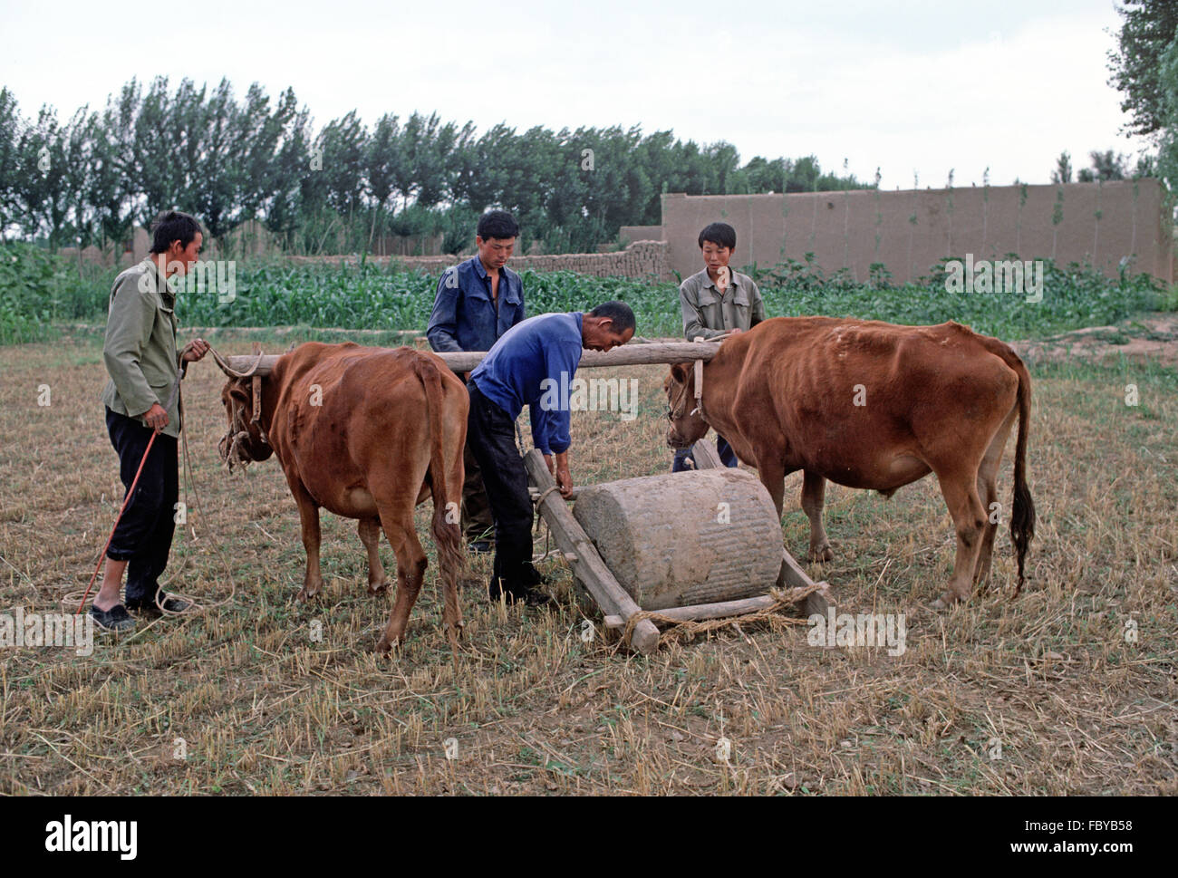 China farming 1980s hi-res stock photography and images - Alamy