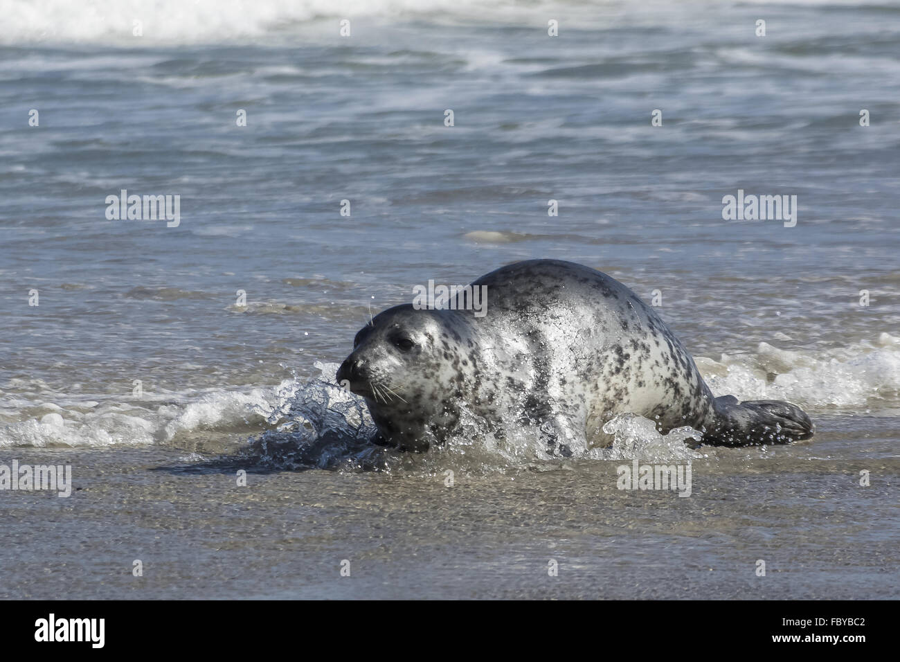 Refreshing water hi-res stock photography and images - Alamy