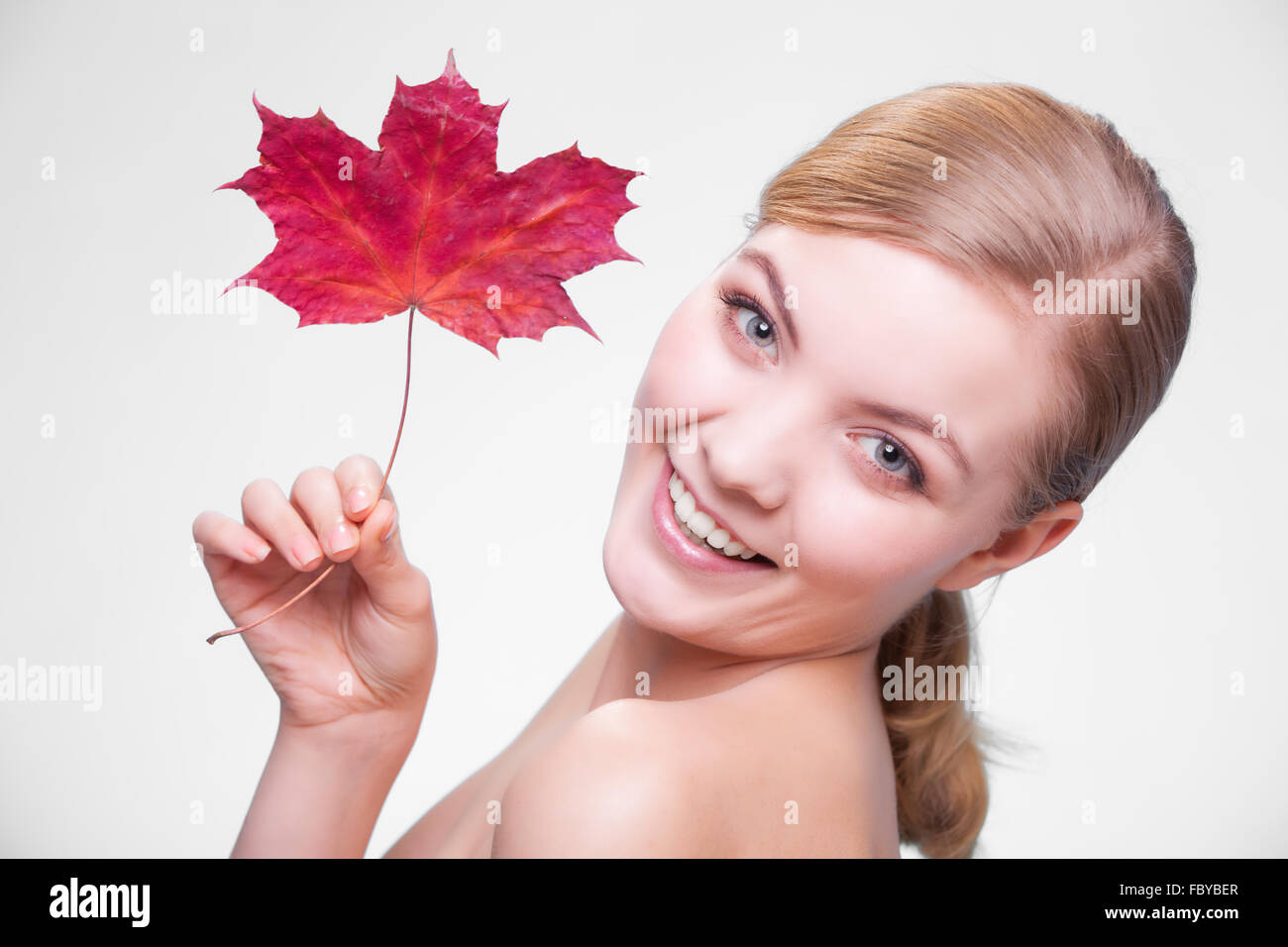 Gray leaf hi-res stock photography and images - Alamy