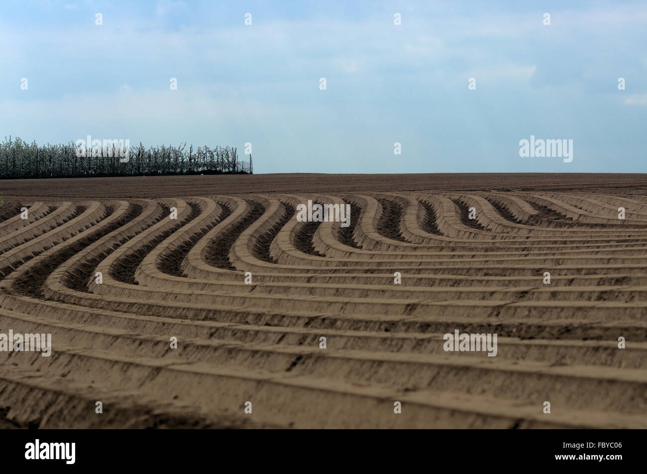 Modern agriculture hi-res stock photography and images - Alamy