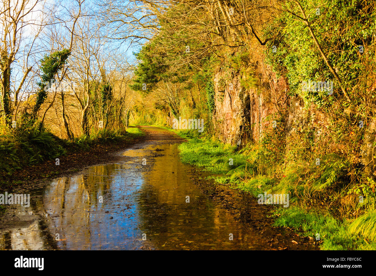 Pathway walkway hi-res stock photography and images - Alamy
