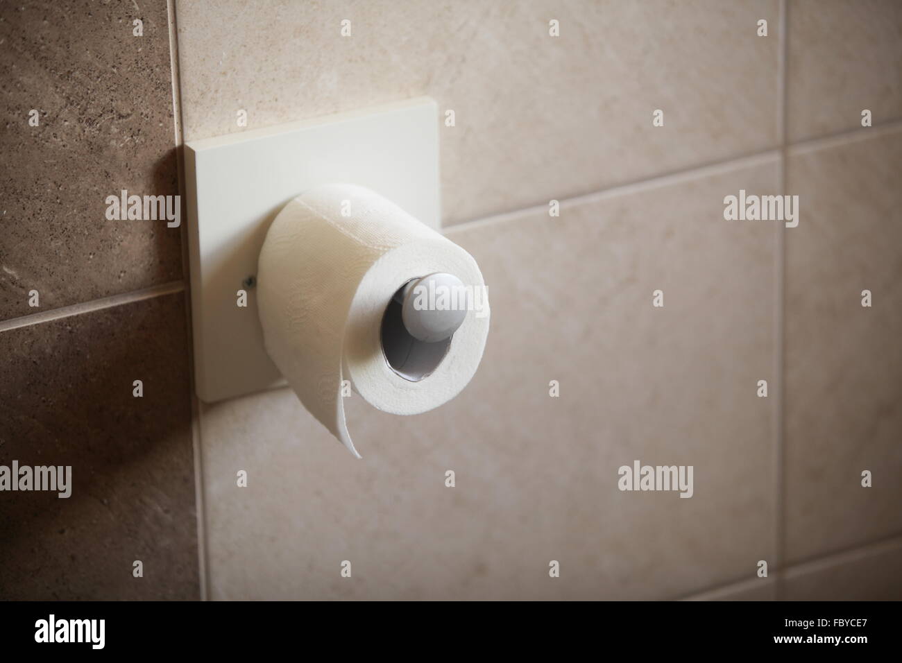 Toilet Paper Roll In Bathroom Stock Photo Alamy toilet-paper-roll-in-bathroom-stock-photo-alamy