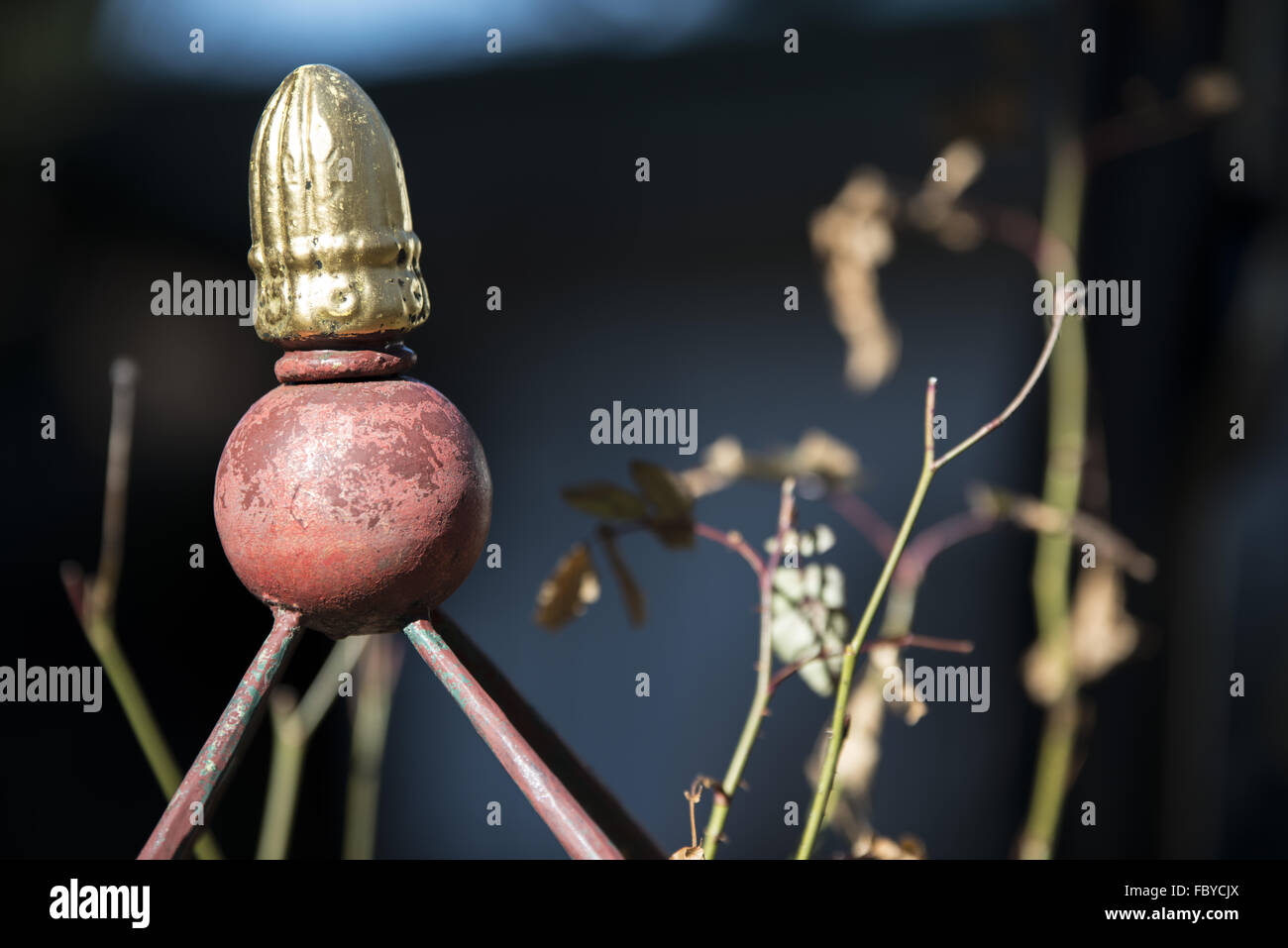 Rosenpyramiden hi-res stock photography and images - Alamy