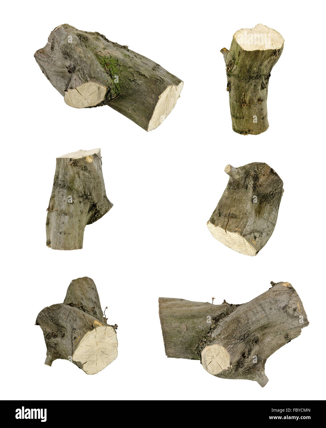 Forked tree branch hi-res stock photography and images - Alamy