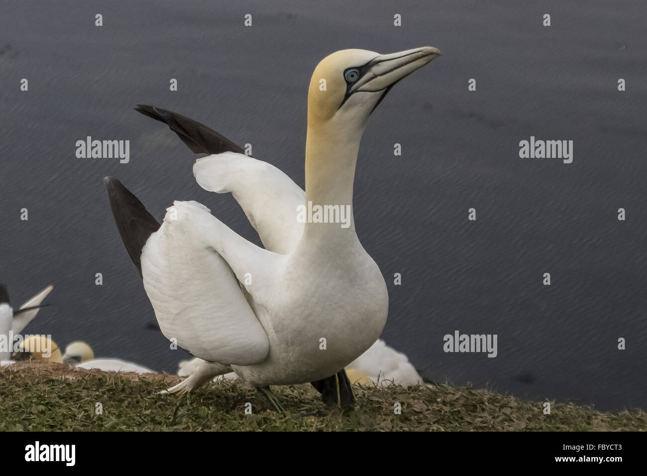 Sentry island hi-res stock photography and images - Alamy