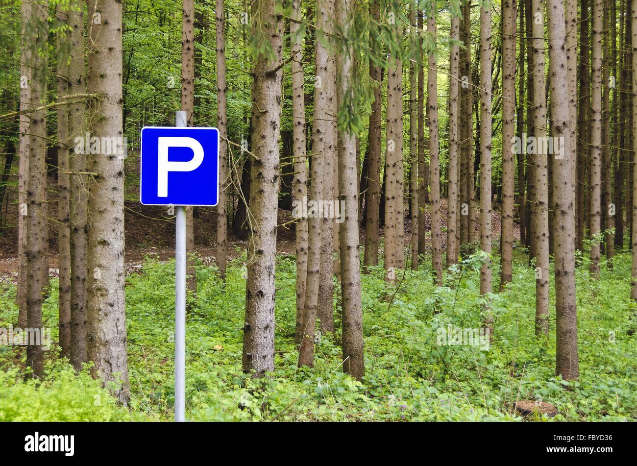 Coniferious forest hi-res stock photography and images - Alamy