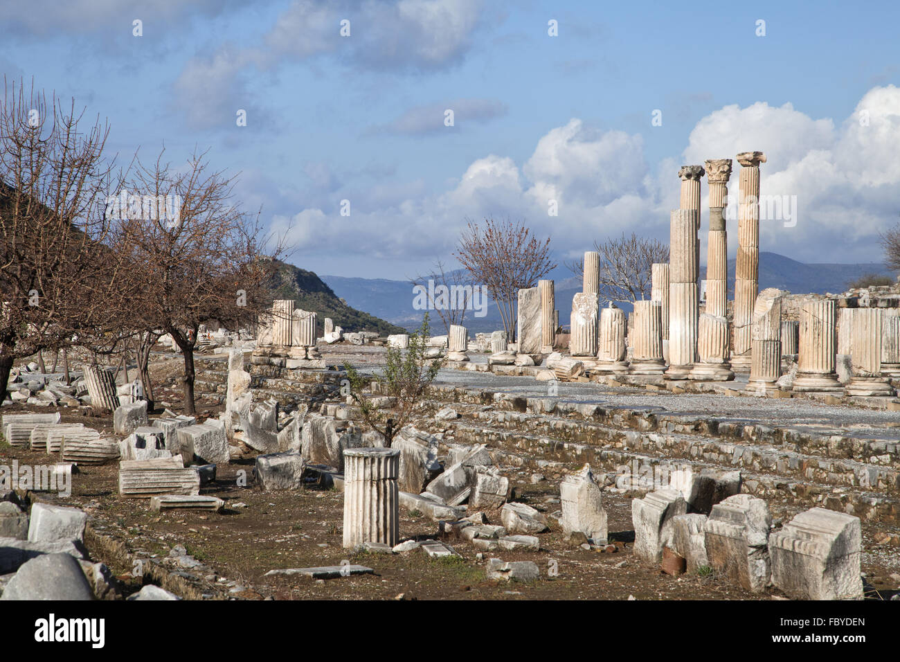 Ancient greek town of Ephesus in Turkey Stock Photo - Alamy