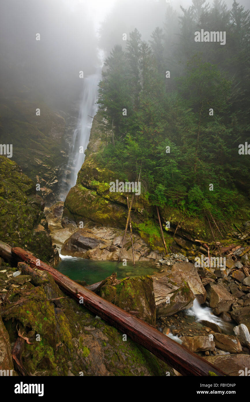 Millard Creek waterfall with mist and fog, Knight Inlet, British ...