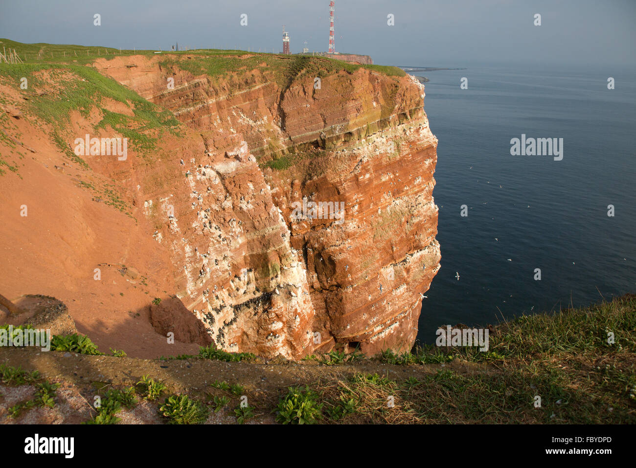 Nordsee insel helgoland hi-res stock photography and images - Alamy