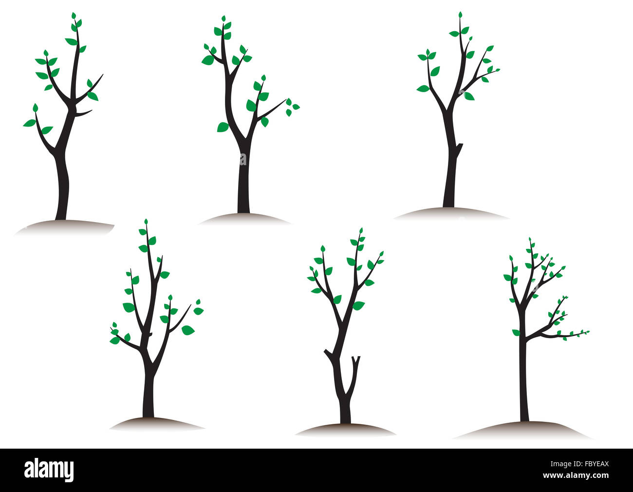 Set of trees hi-res stock photography and images - Alamy