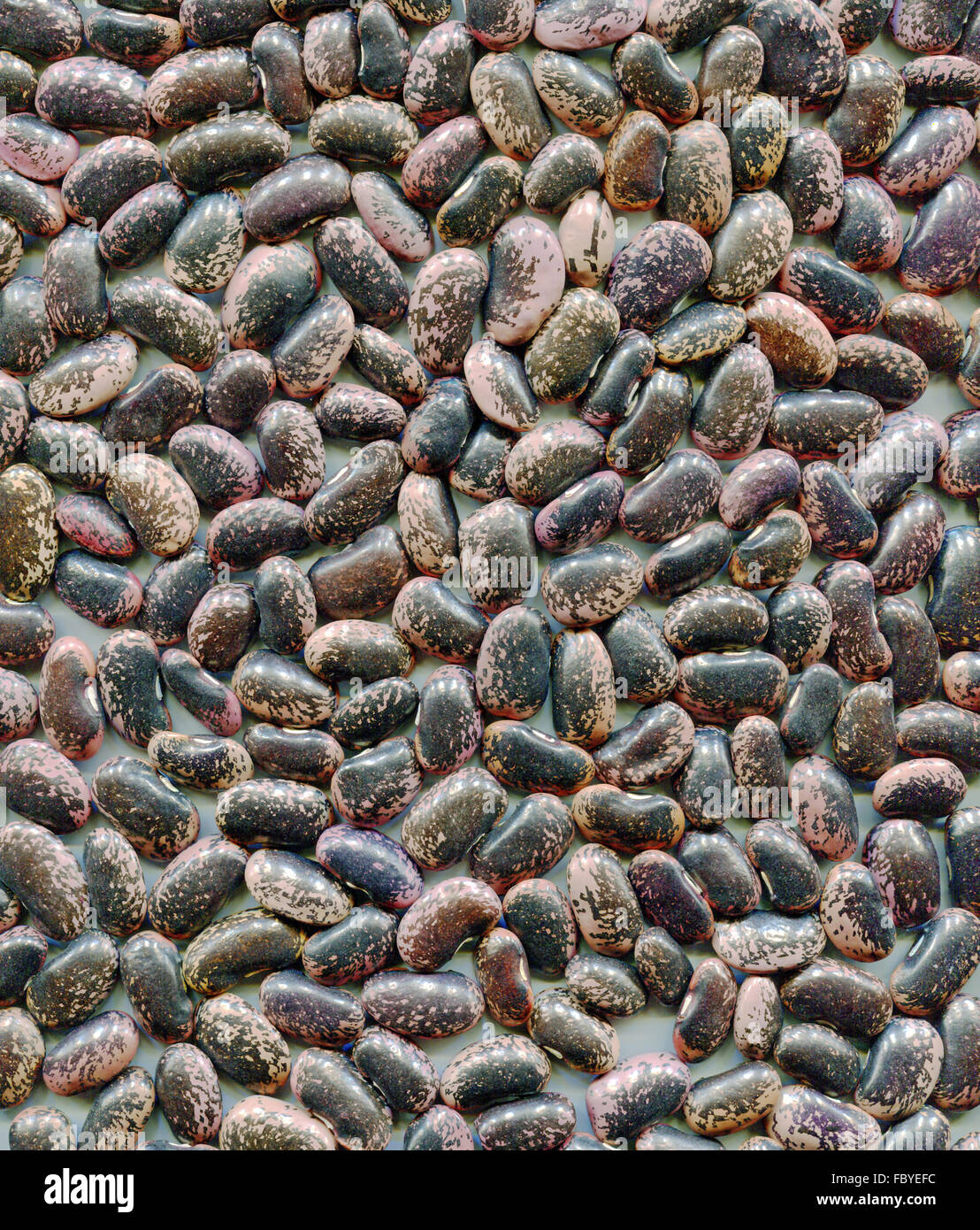 Scarlet runner beans hi-res stock photography and images - Alamy