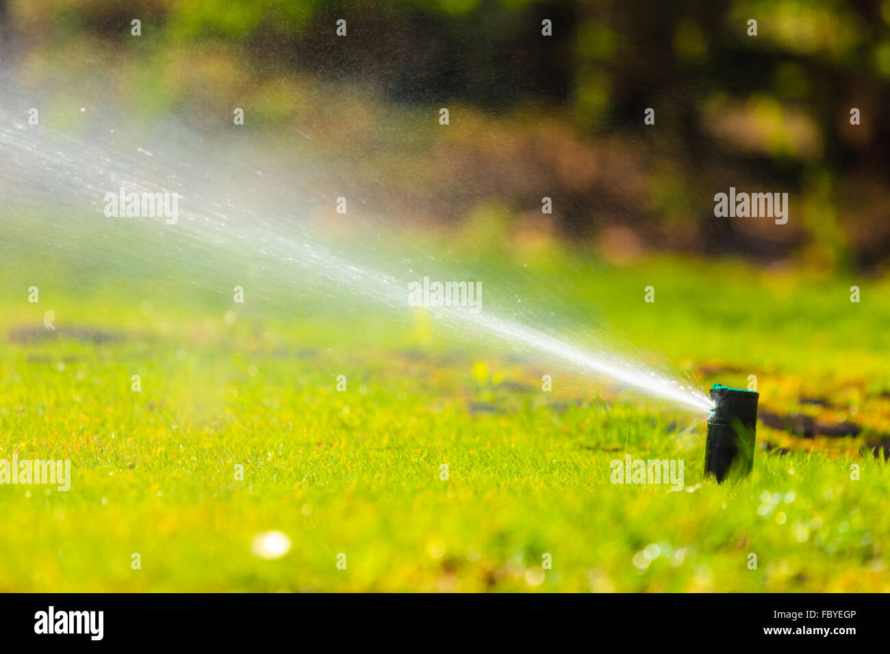 Gardening eq hi-res stock photography and images - Alamy