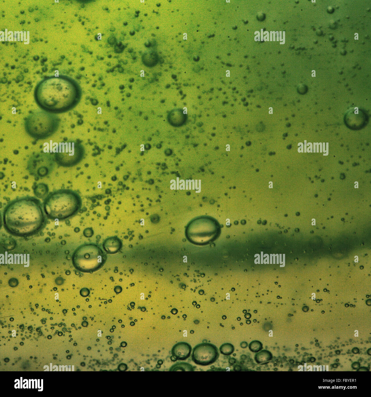 soap bubbles green liquid background Stock Photo - Alamy