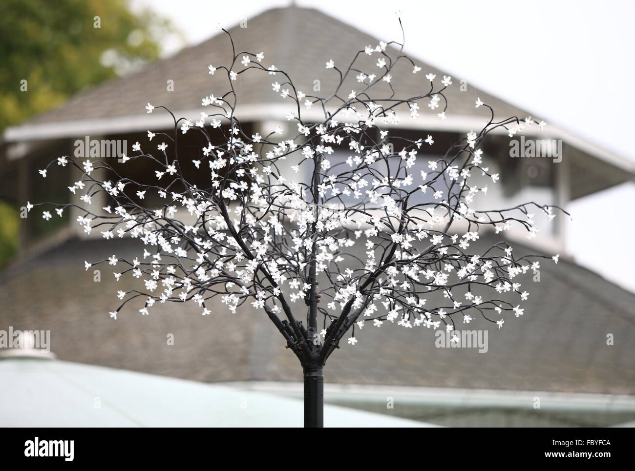 The modern street light. Led tree lighting decoration Stock Photo - Alamy