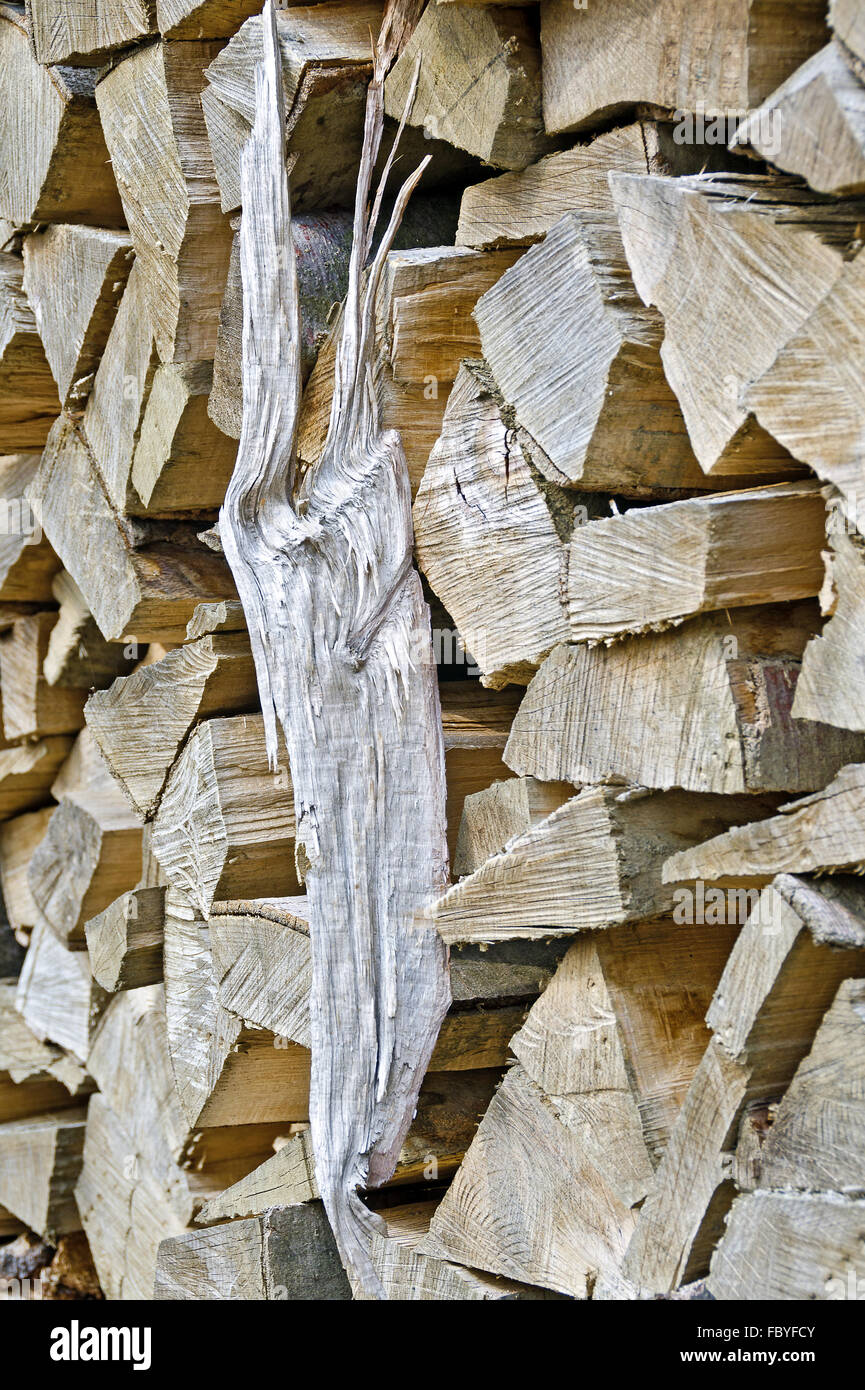 Stack of logs hi-res stock photography and images - Alamy