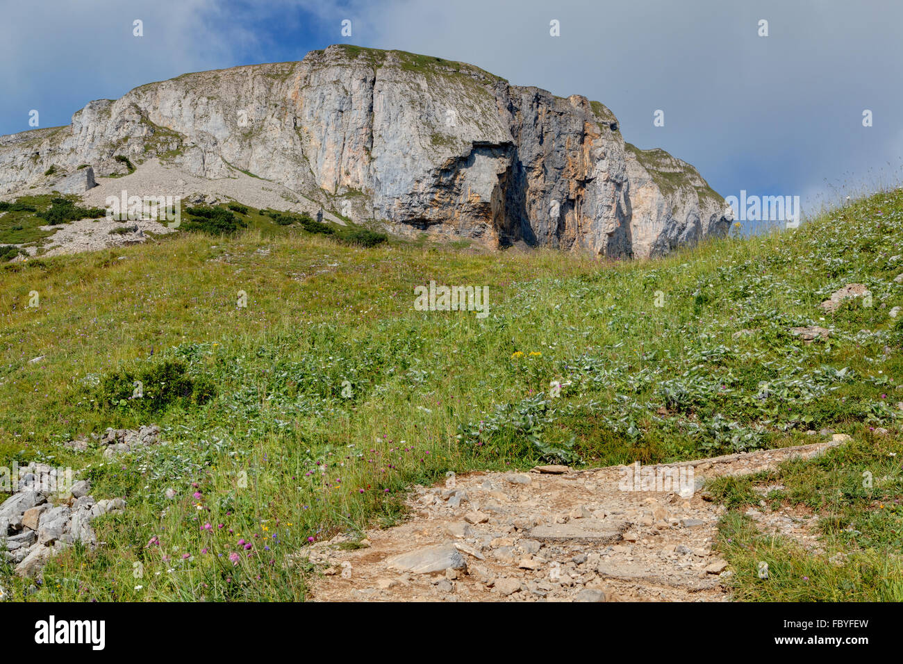 Path with obstacle Stock Photo - Alamy