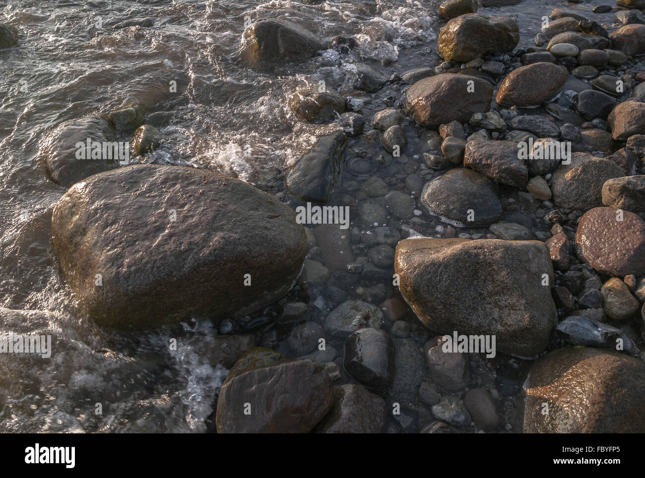 Hiddensee - stones on the beach Stock Photo - Alamy