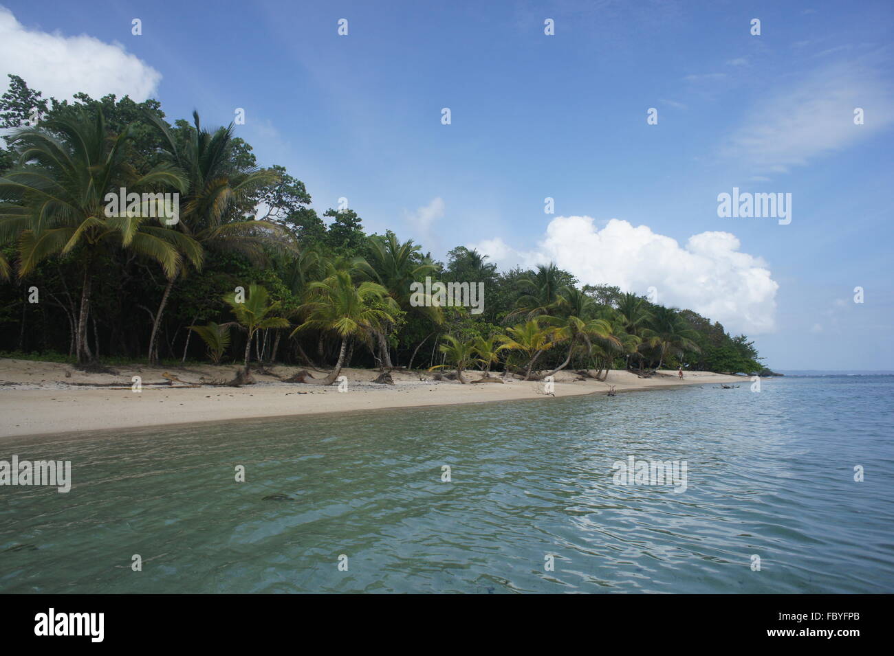 natural beach in costa rica Stock Photo - Alamy