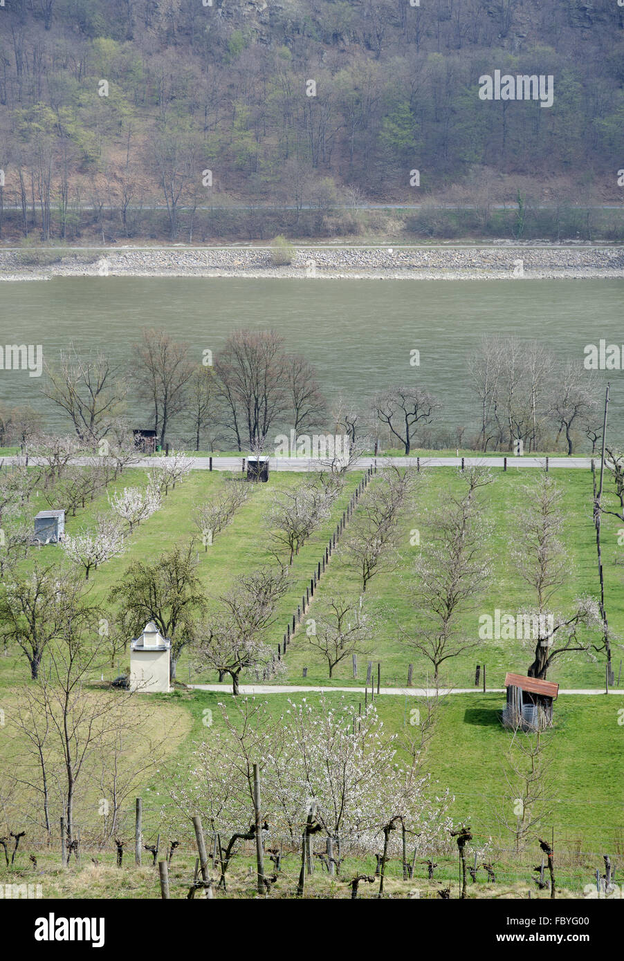 Fruit trees in valley hi-res stock photography and images - Alamy