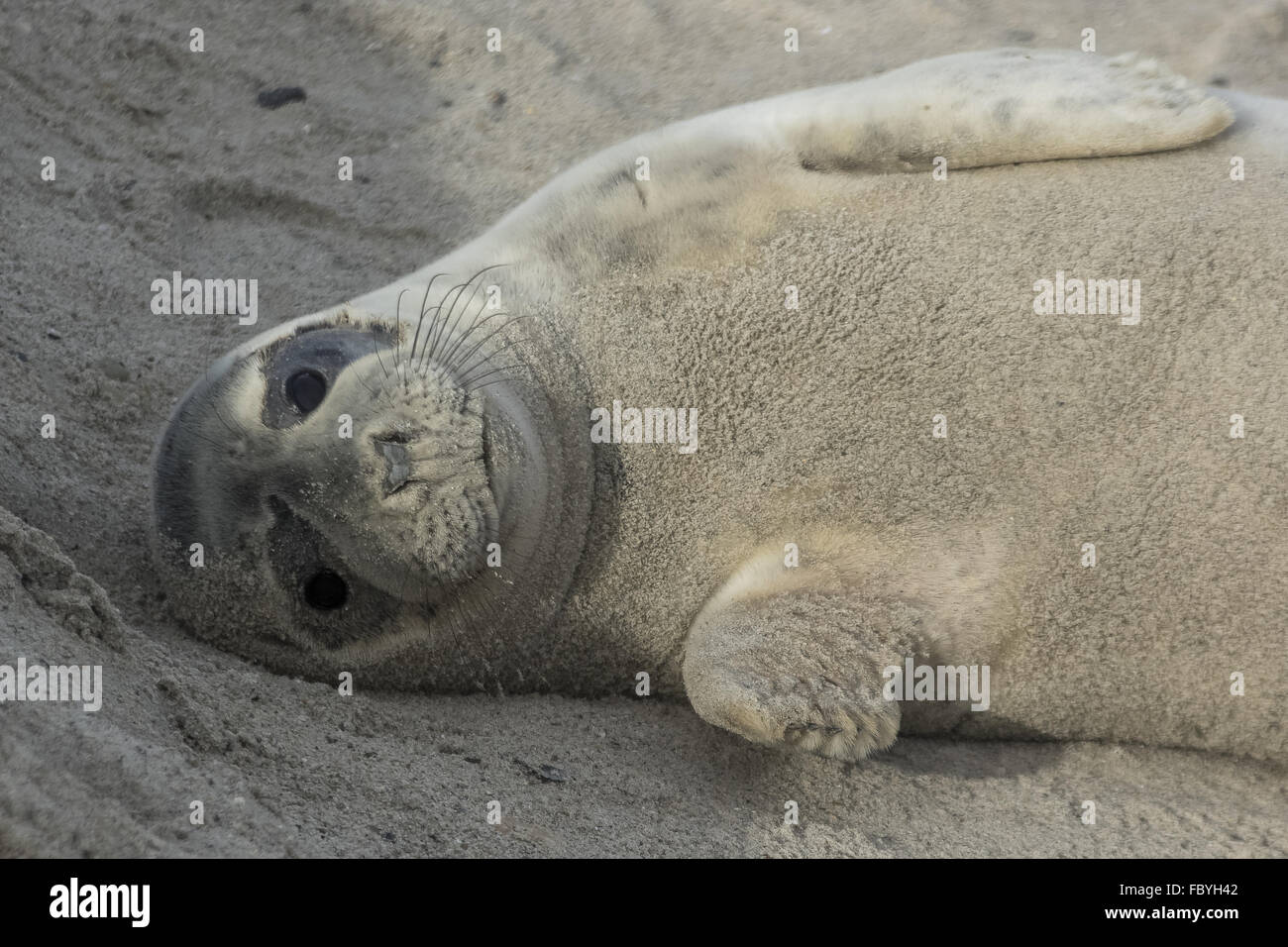 Have a break Stock Photo - Alamy