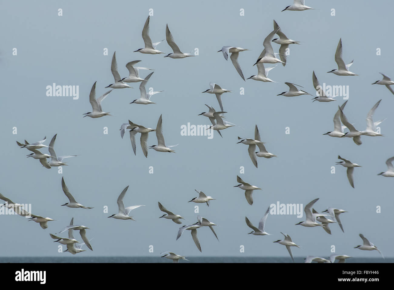 Flying departure hi-res stock photography and images - Alamy