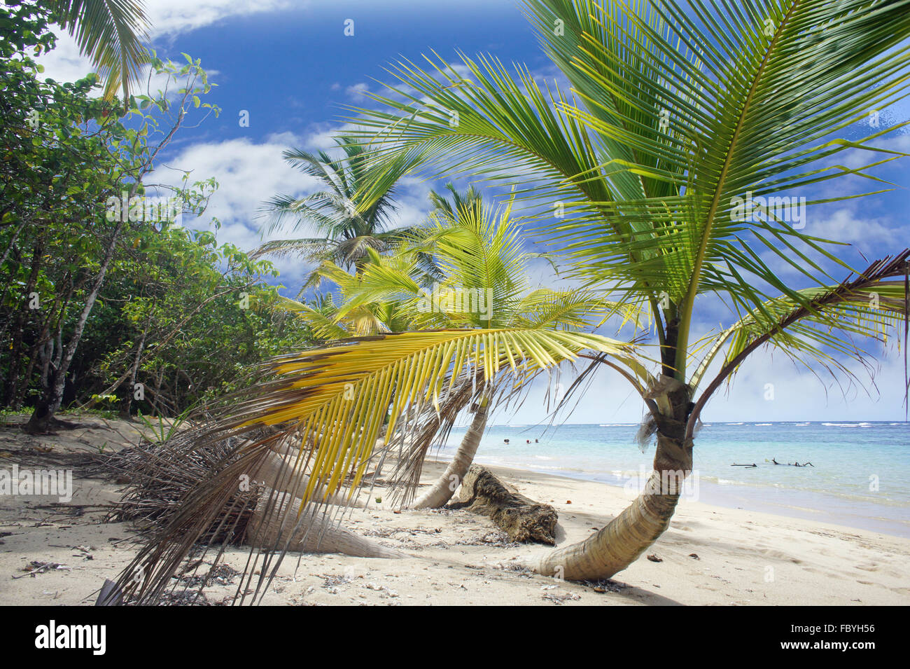 Impressions from Costa Rica Stock Photo - Alamy